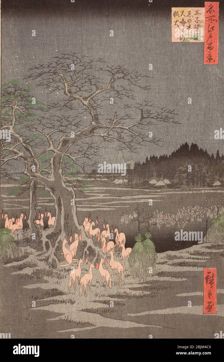 Fire fox hi-res stock photography and images - Alamy