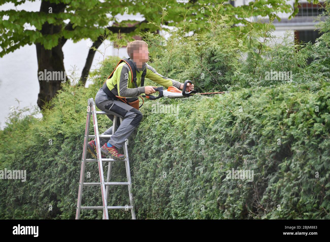 Munich, Deutschland. 28th Apr, 2020. A horticulturalist stands on a ...