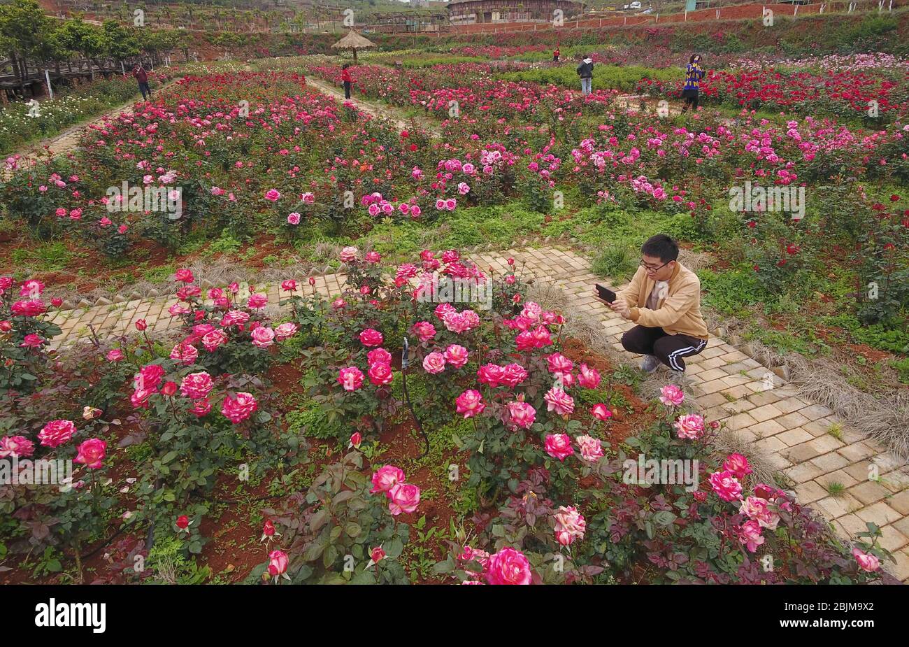 Fuyuan, China's Yunnan Province. 30th Apr, 2020. In this aerial photo ...