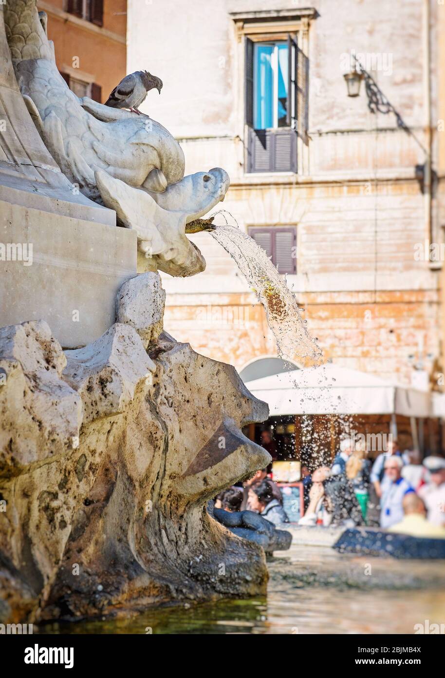 dove sitting on fountain in Rome, Italy. Popular tourist place Stock ...