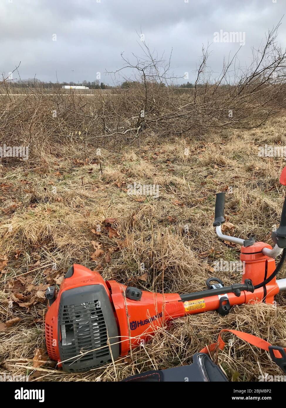 Cleaning up the field Stock Photo - Alamy
