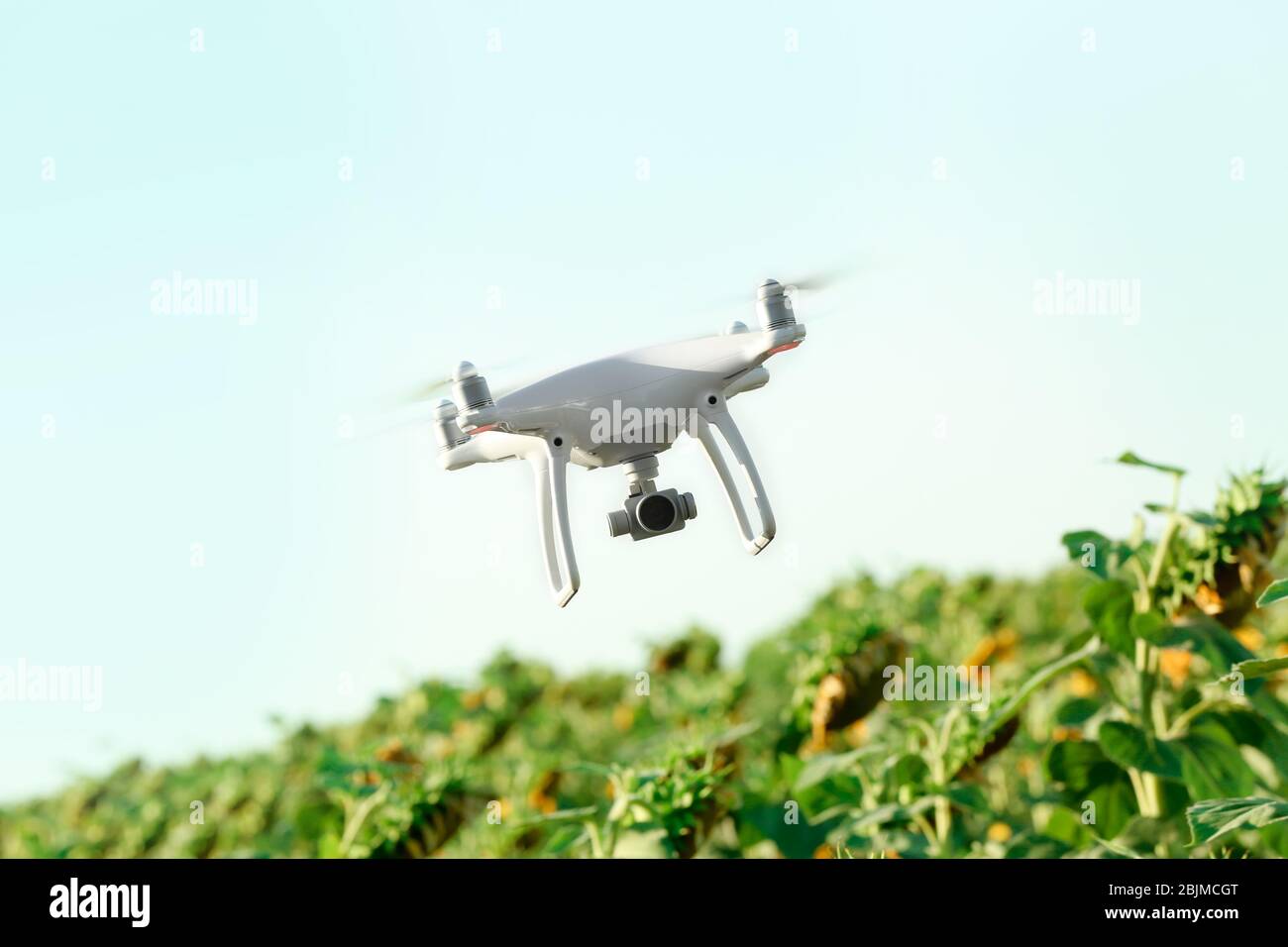 Flying over sunflower field drone hi-res stock photography and images ...