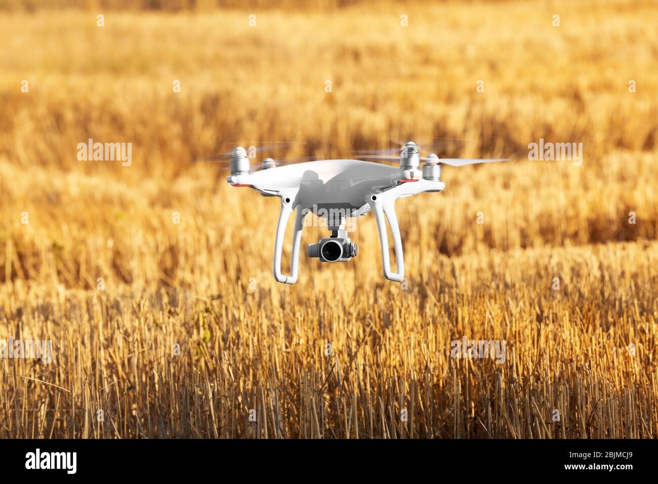 Flying over wheat field aerial hi-res stock photography and images - Alamy