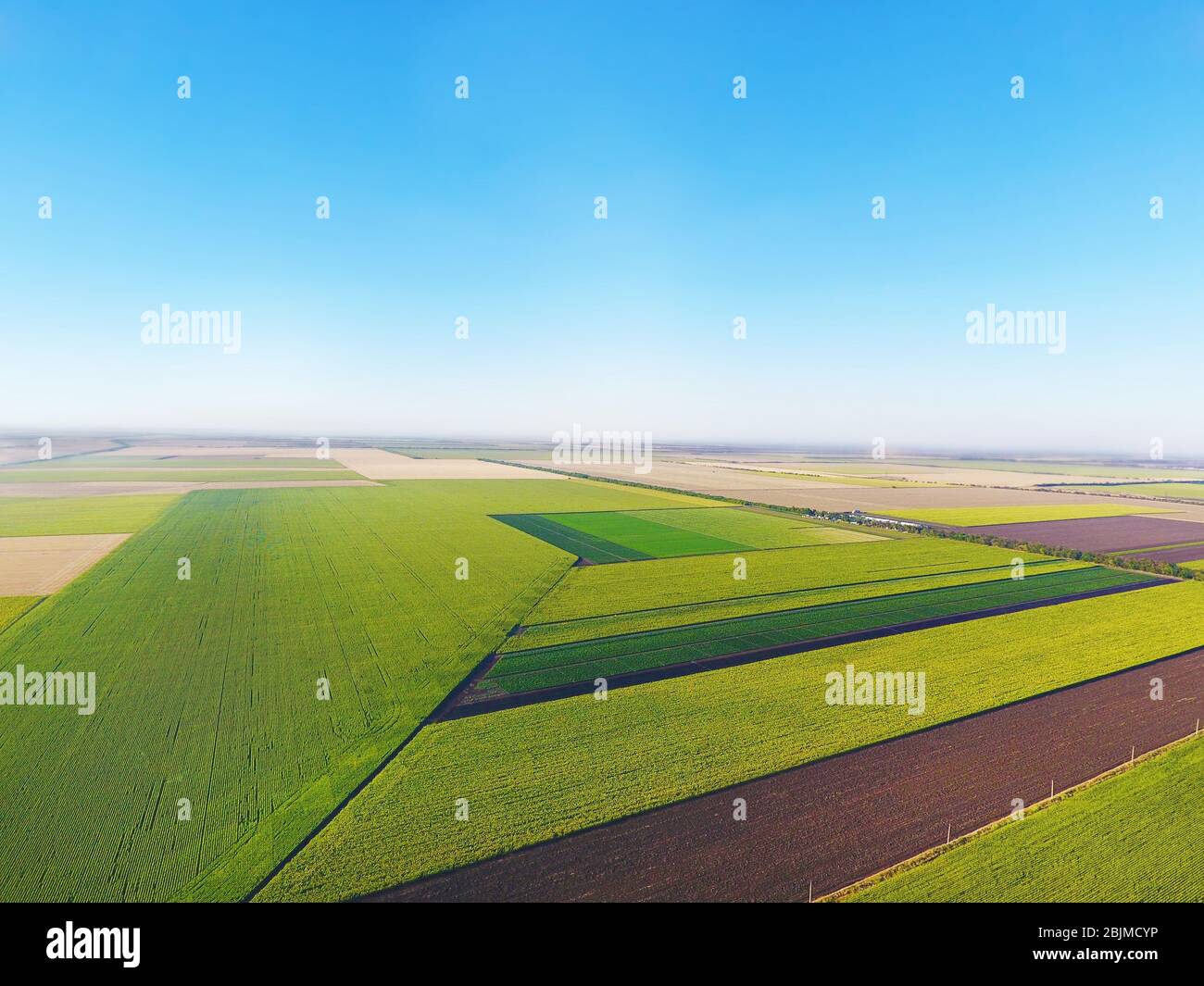 Beautiful fields on sunny day Stock Photo - Alamy