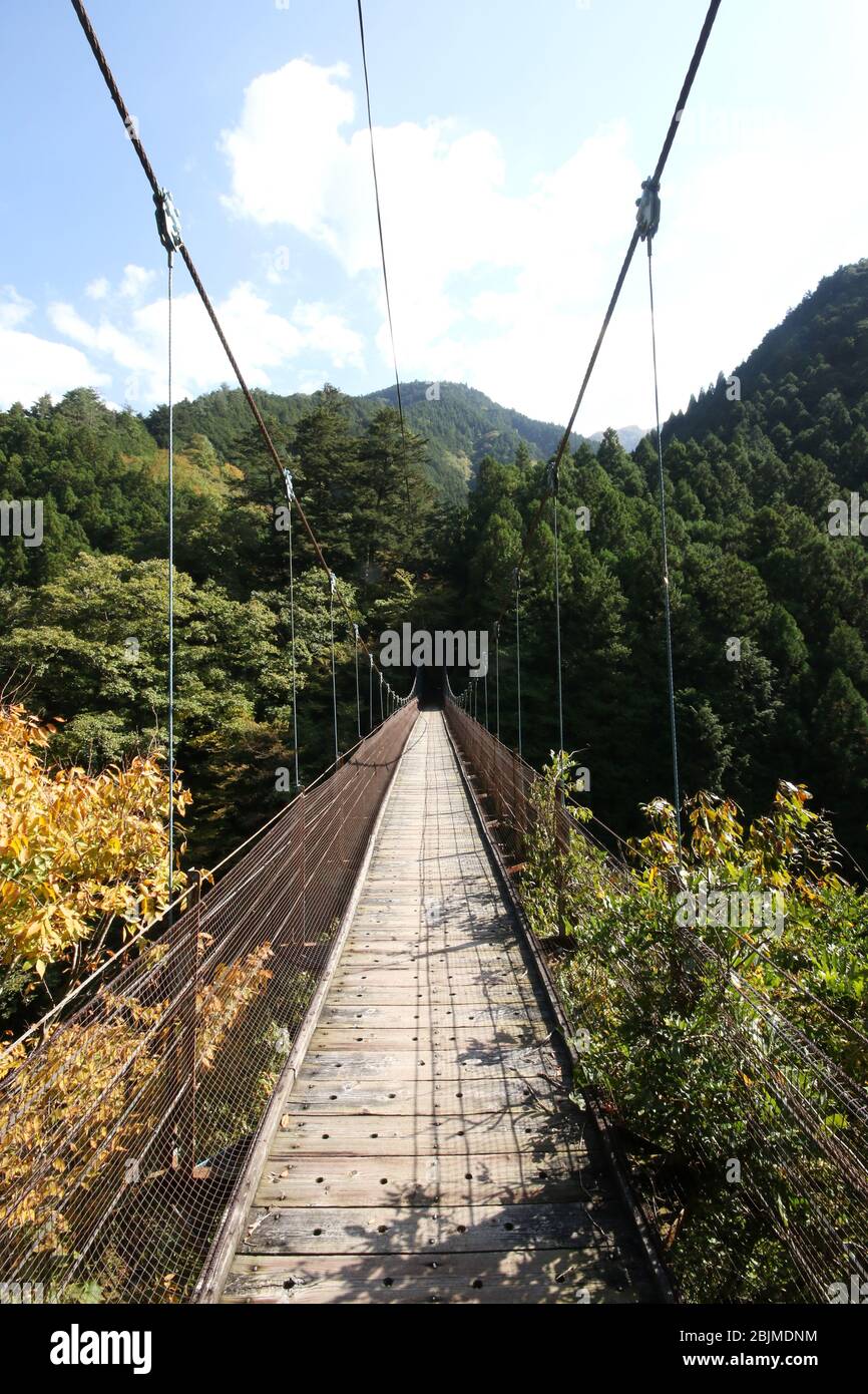 Shidakura-bashi suspension bidge on Okutama Mukashi Michi Hike ...