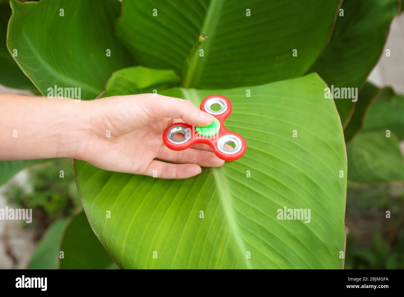 Spinner leaves hi-res stock photography and images - Alamy