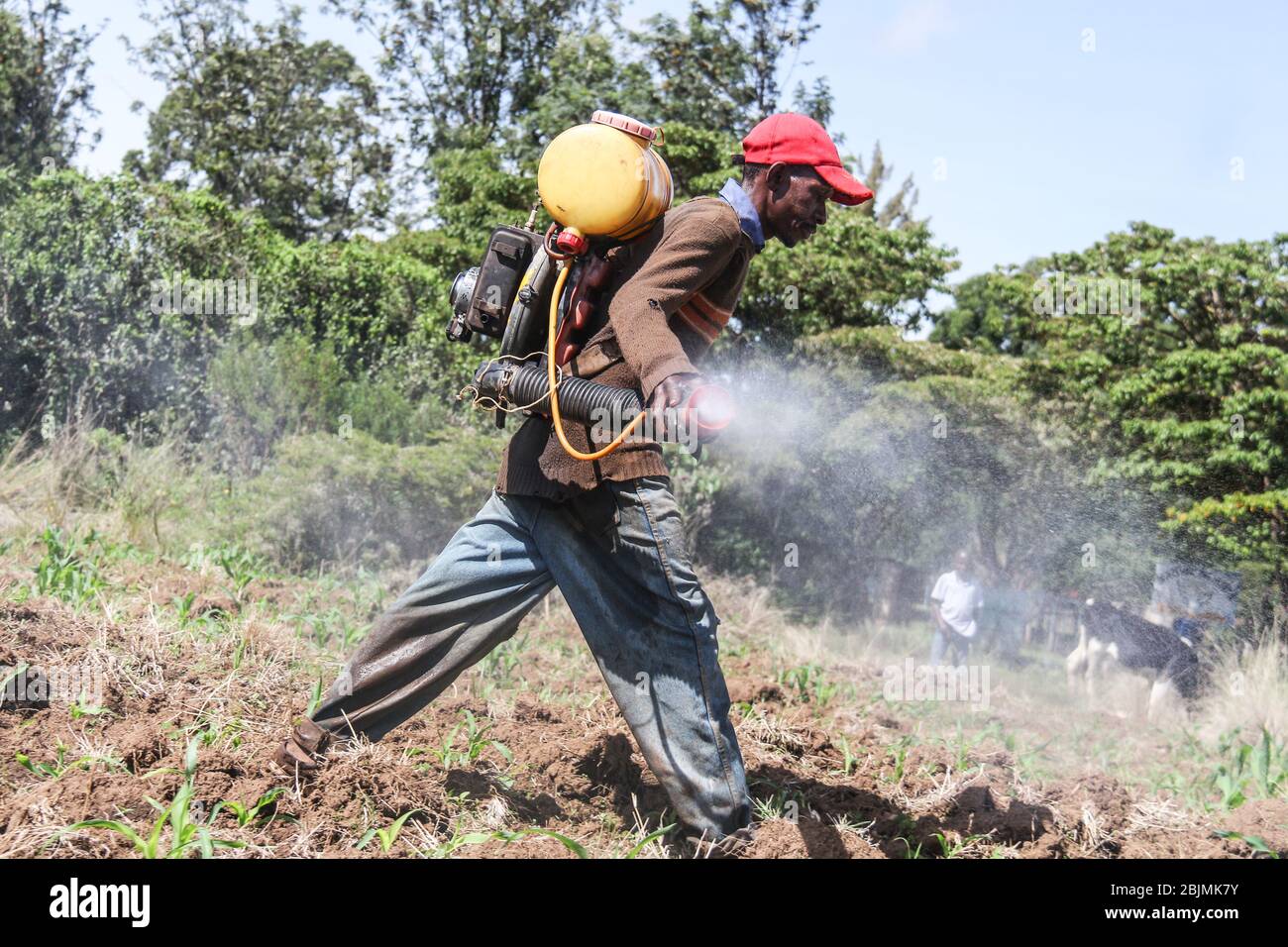 Man spraying pesticides hi-res stock photography and images - Alamy
