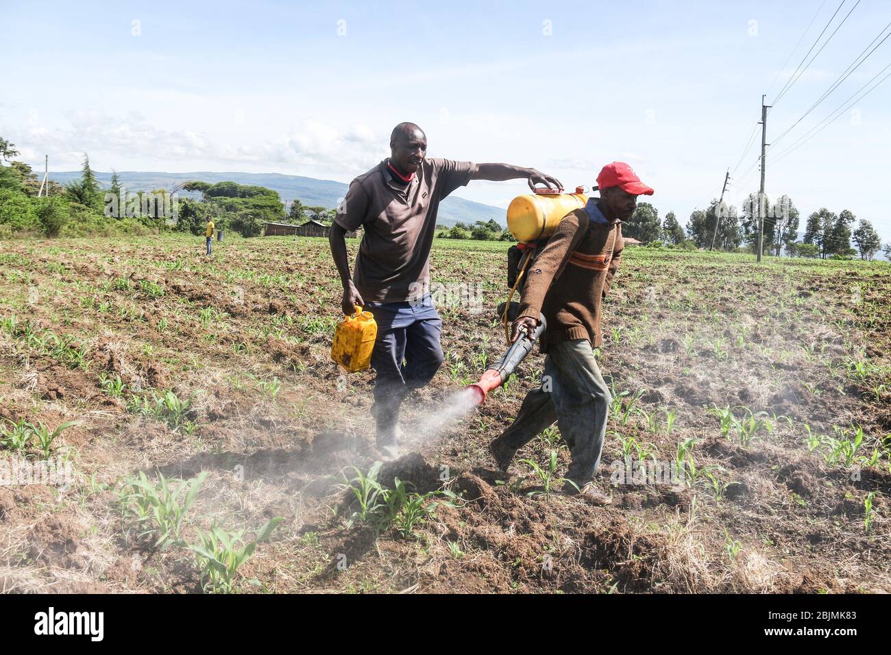 Man spraying pesticides hi-res stock photography and images - Alamy