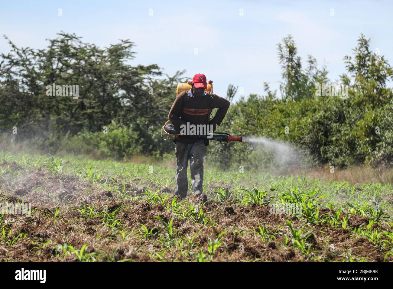 Man spraying pesticides hi-res stock photography and images - Alamy