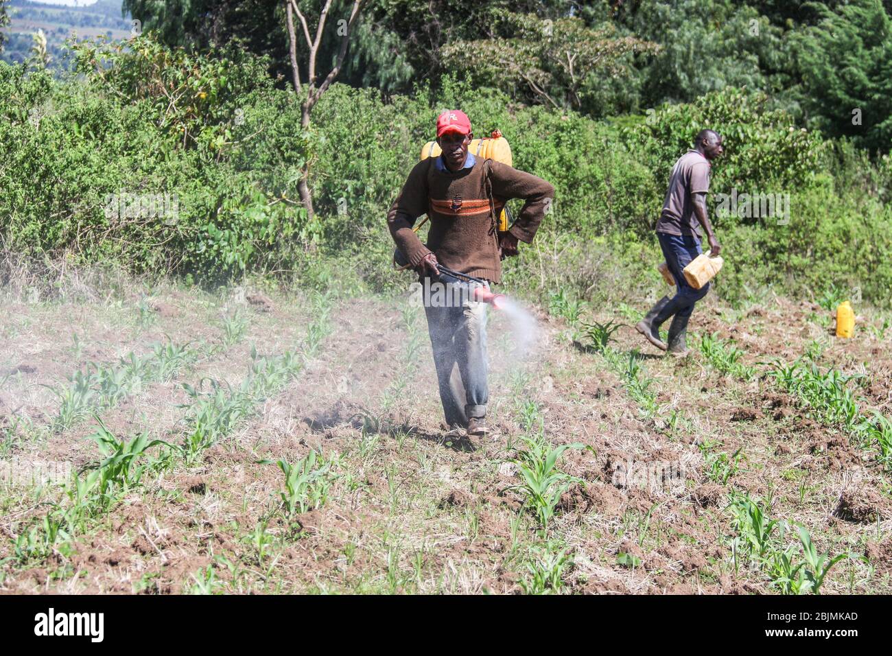 Man spraying pesticides hi-res stock photography and images - Alamy