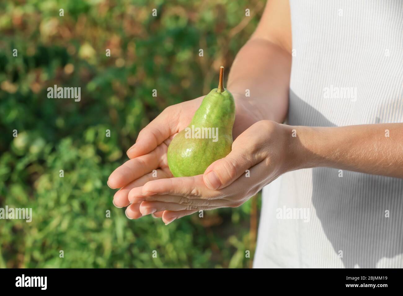 Woman holding green pear outdoors Stock Photo - Alamy