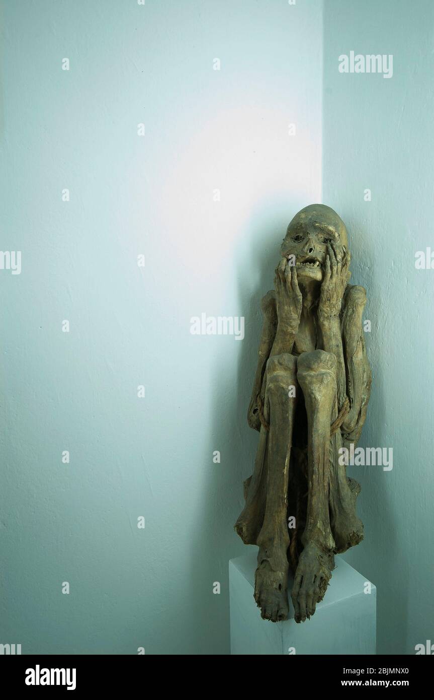 Inca Mummy High Resolution Stock Photography and Images - Alamy