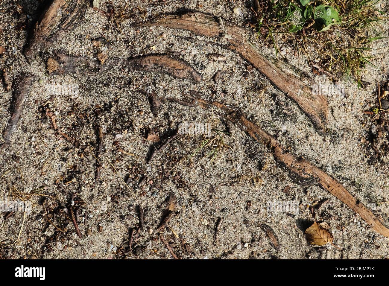 Close up view on sand ground surfaces and textures in high resolution ...