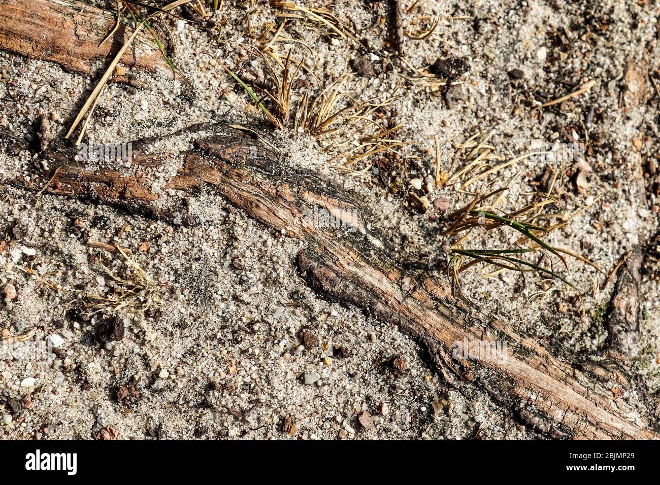 Close up view on sand ground surfaces and textures in high resolution ...
