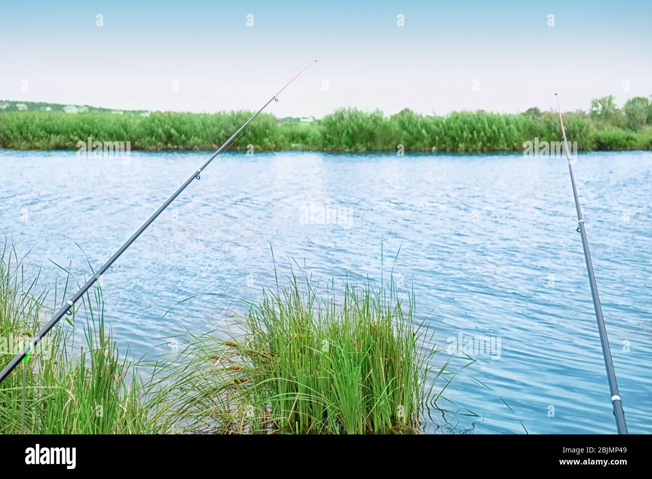 Reed rods hi-res stock photography and images - Alamy