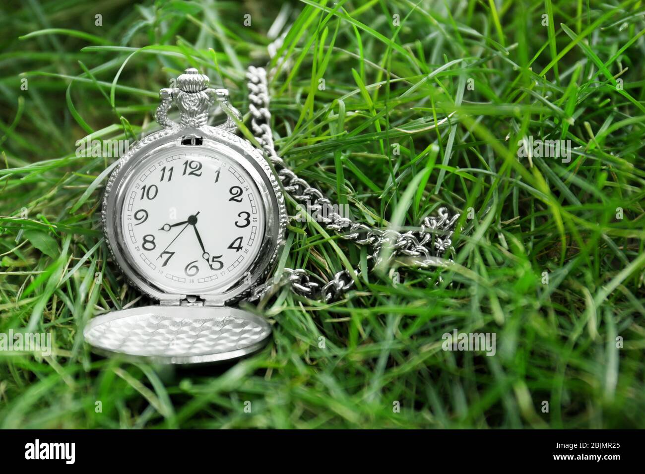Pocket watch in green grass. Morning routine concept Stock Photo - Alamy