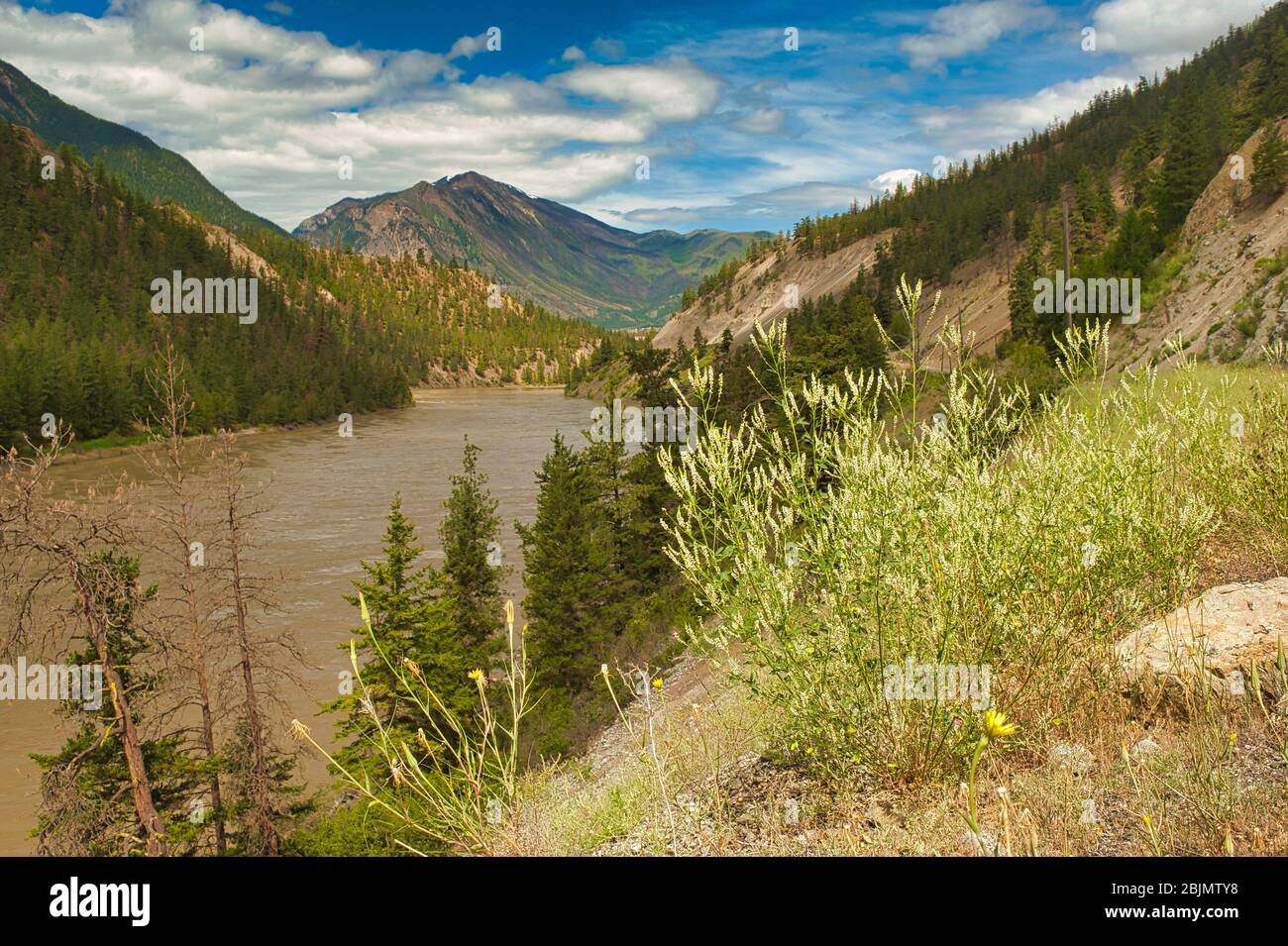 Lillooet mountain range hi-res stock photography and images - Alamy