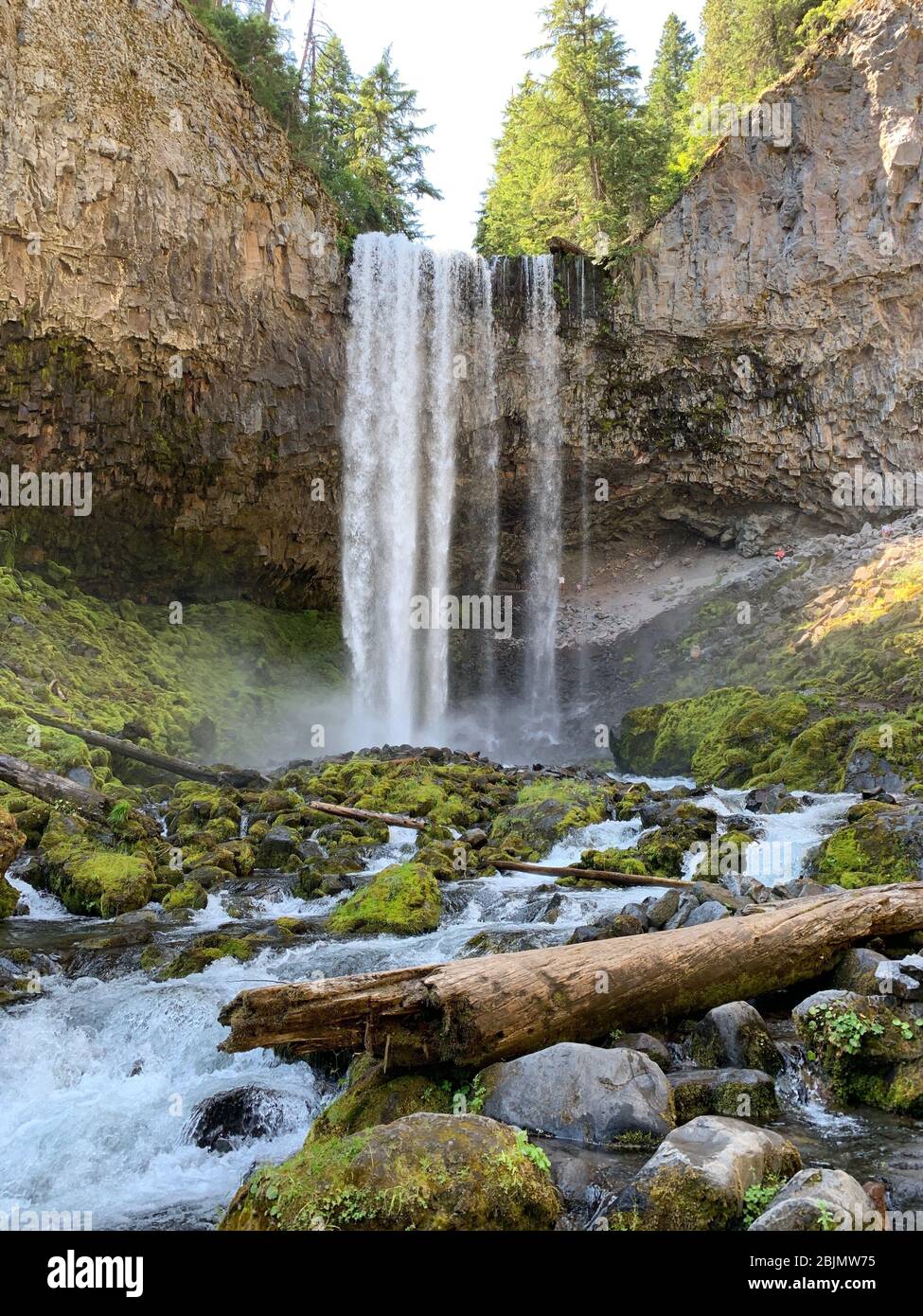 Tamanawas Falls waterfall, Oregon, USA Stock Photo - Alamy