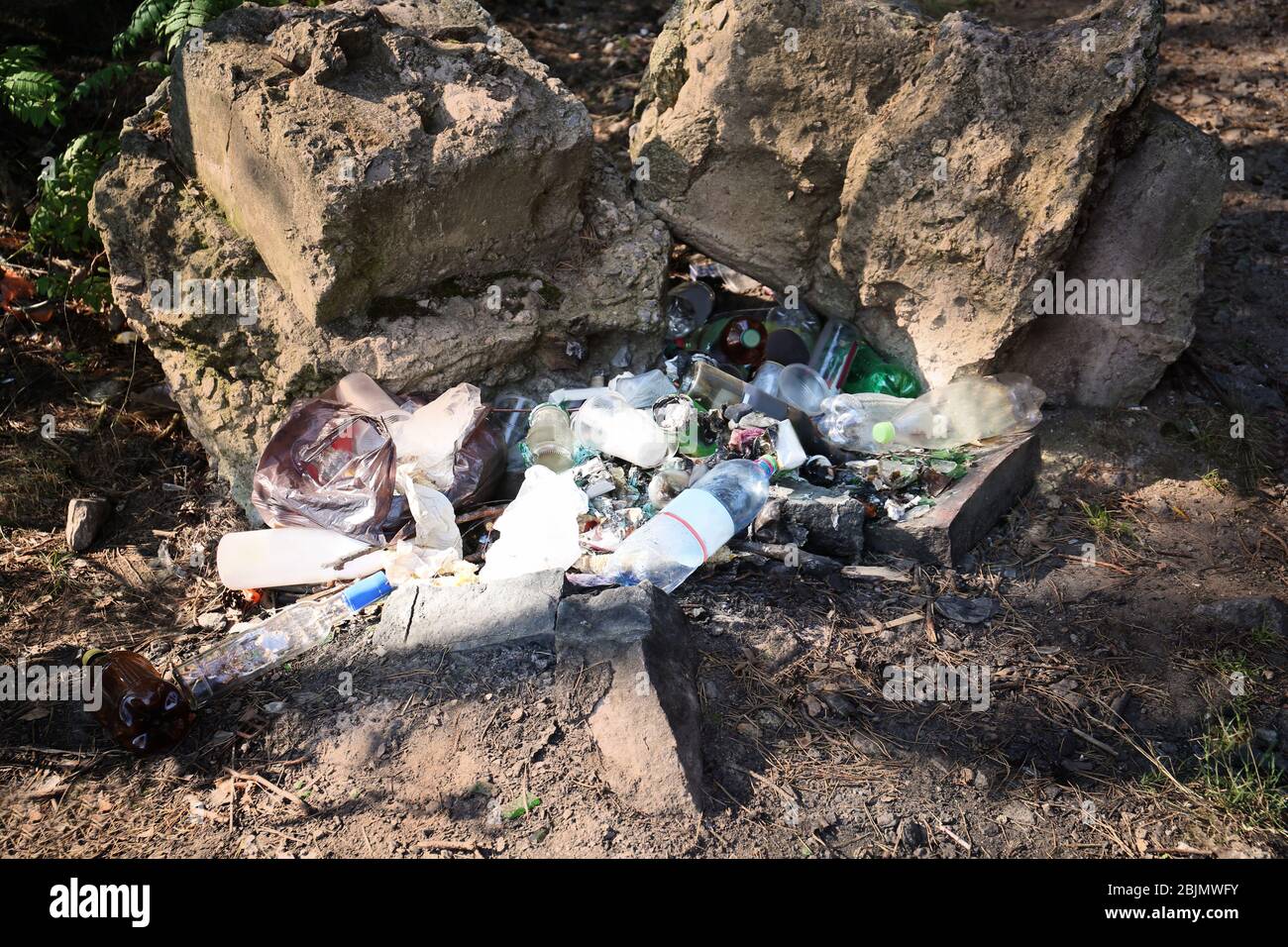 View of garbage on forest Stock Photo - Alamy
