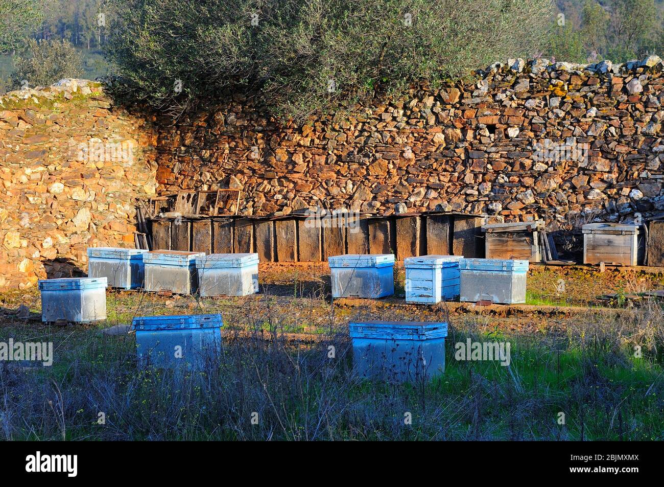 Traditional beehives hi-res stock photography and images - Alamy