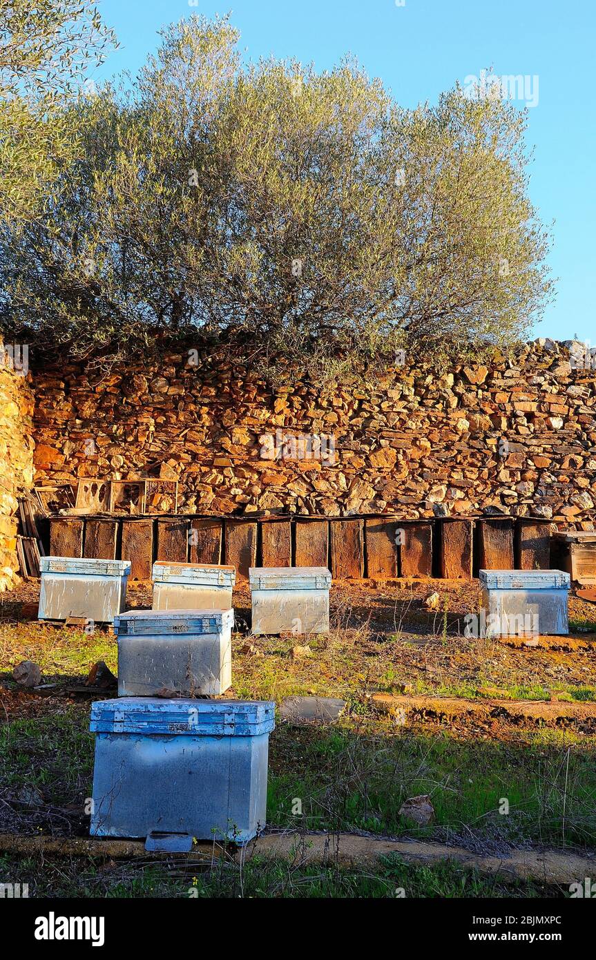 Traditional beehives hi-res stock photography and images - Alamy