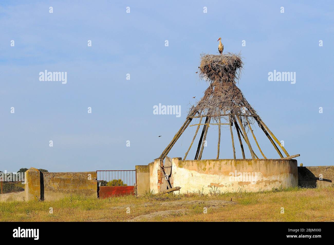 Chozo hi-res stock photography and images - Alamy