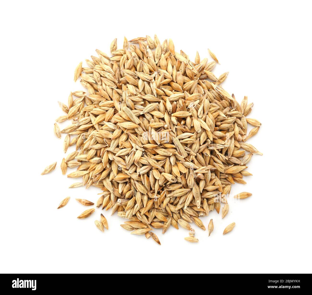 Wheat grass seeds on white background Stock Photo - Alamy