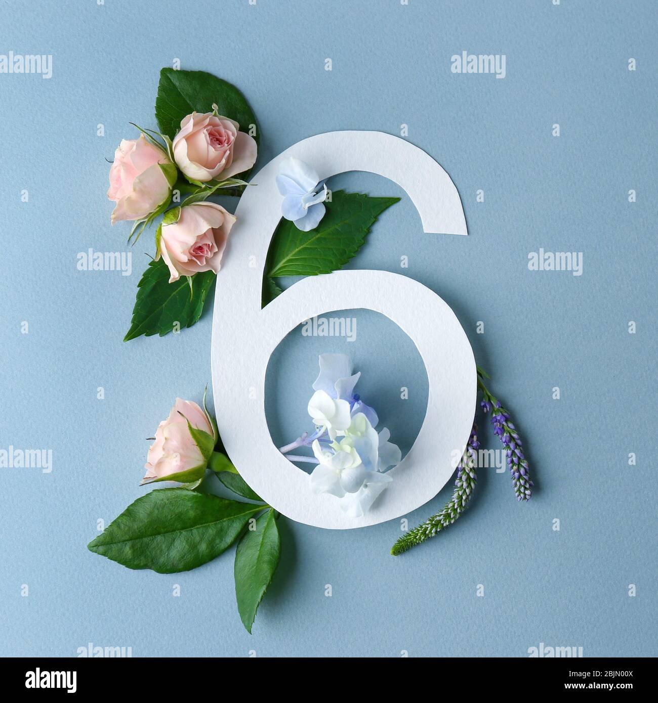 Floral number six design hi-res stock photography and images - Alamy