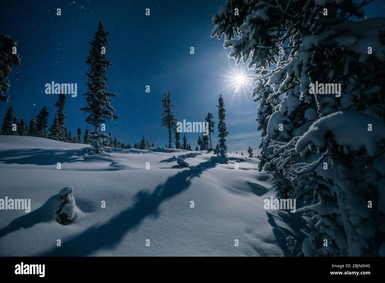 Tree sunburst snow landscape hi-res stock photography and images - Alamy