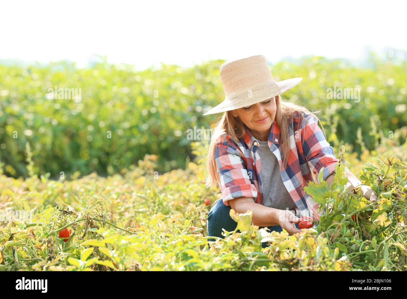 Female farmer working in field hi-res stock photography and images - Alamy