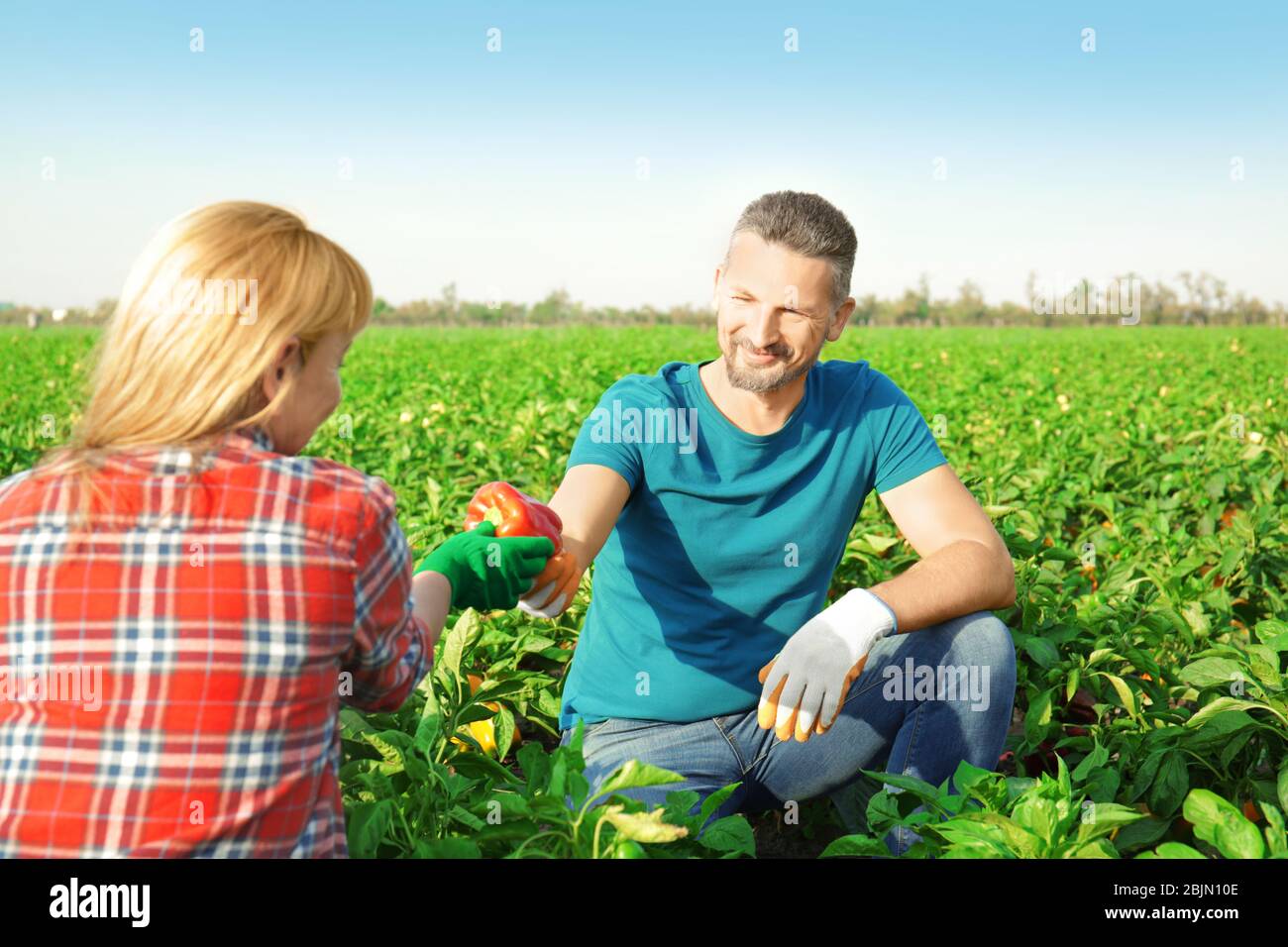 Two farmers working hi-res stock photography and images - Alamy