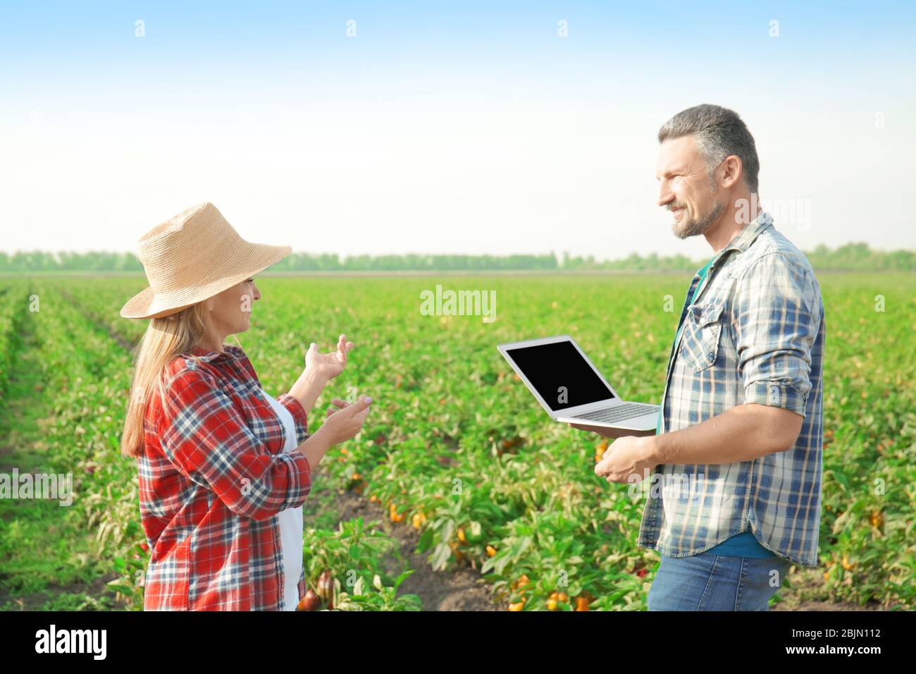 Farmers talking in field hi-res stock photography and images - Alamy