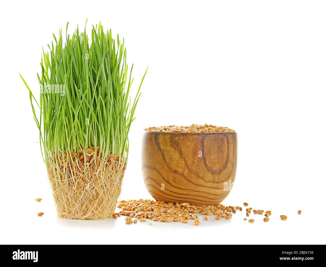 Wheat plant roots Cut Out Stock Images & Pictures - Alamy