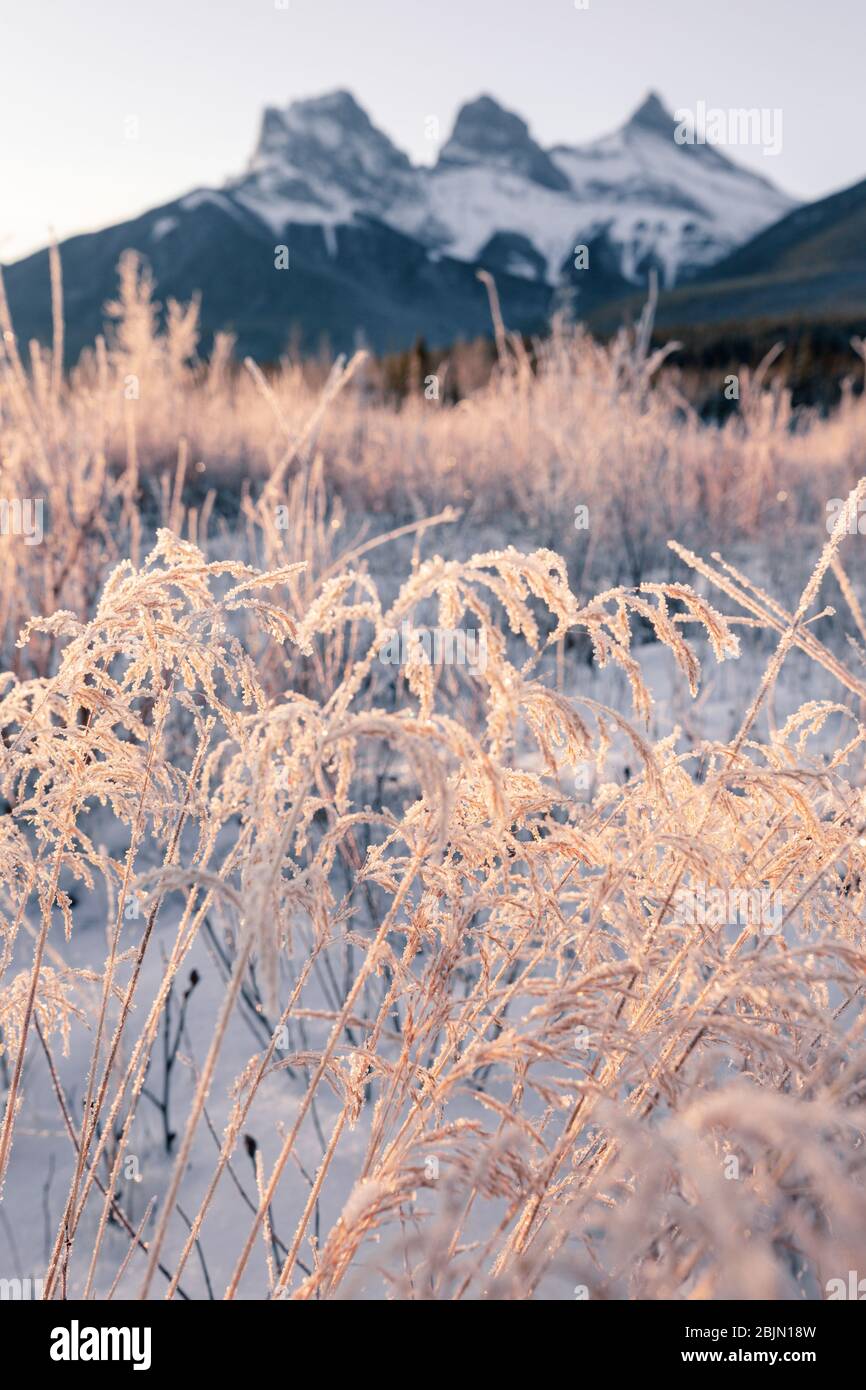 Three Sisters Mountains Canmore High Resolution Stock Photography and ...