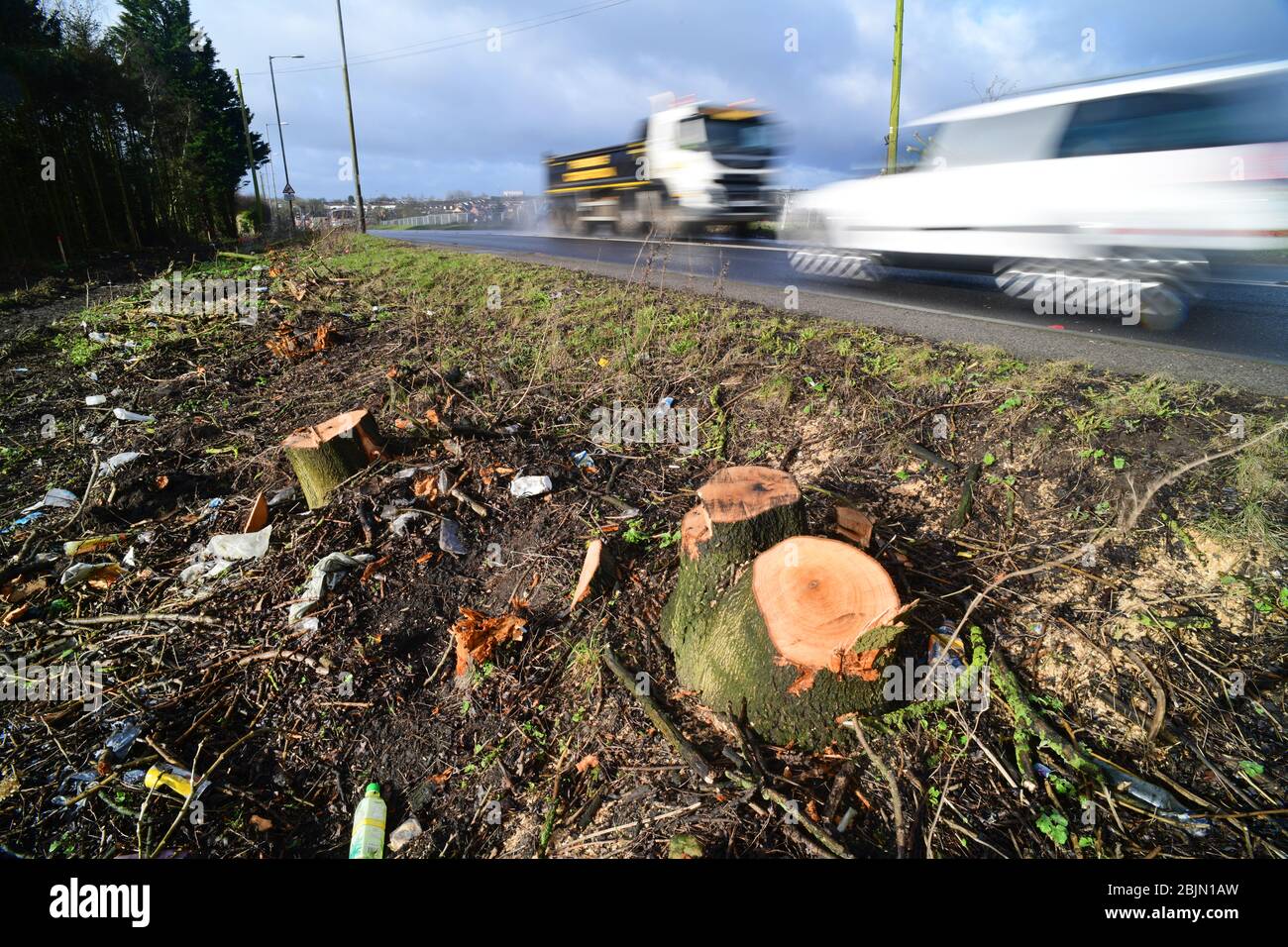 traffic passing remains of tree trucks of trees removed due to new road ...