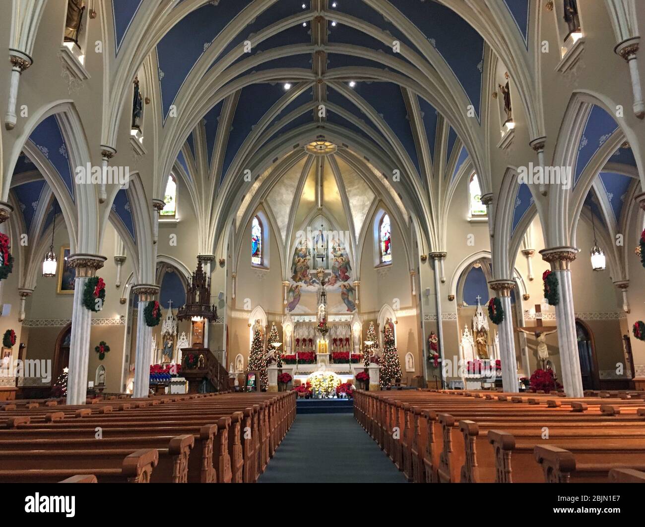 Cathedral Of The Immaculate Co High Resolution Stock Photography and ...