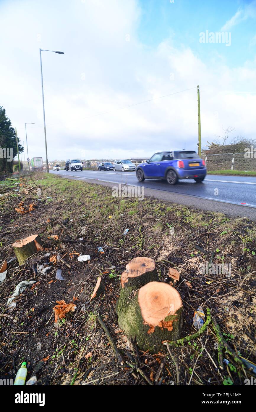 Driving trees hi-res stock photography and images - Alamy
