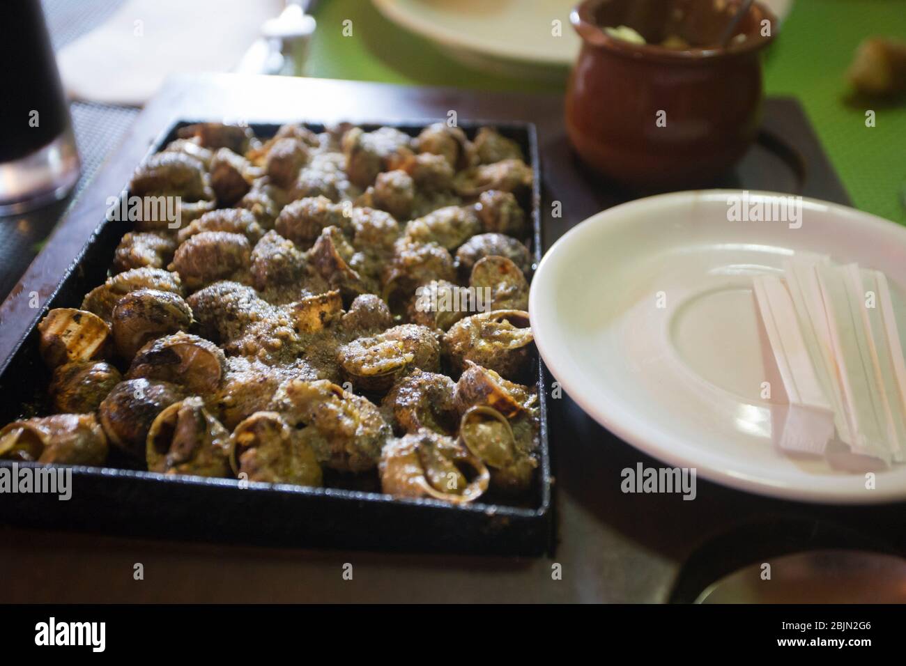 Snails gathering hi-res stock photography and images - Alamy