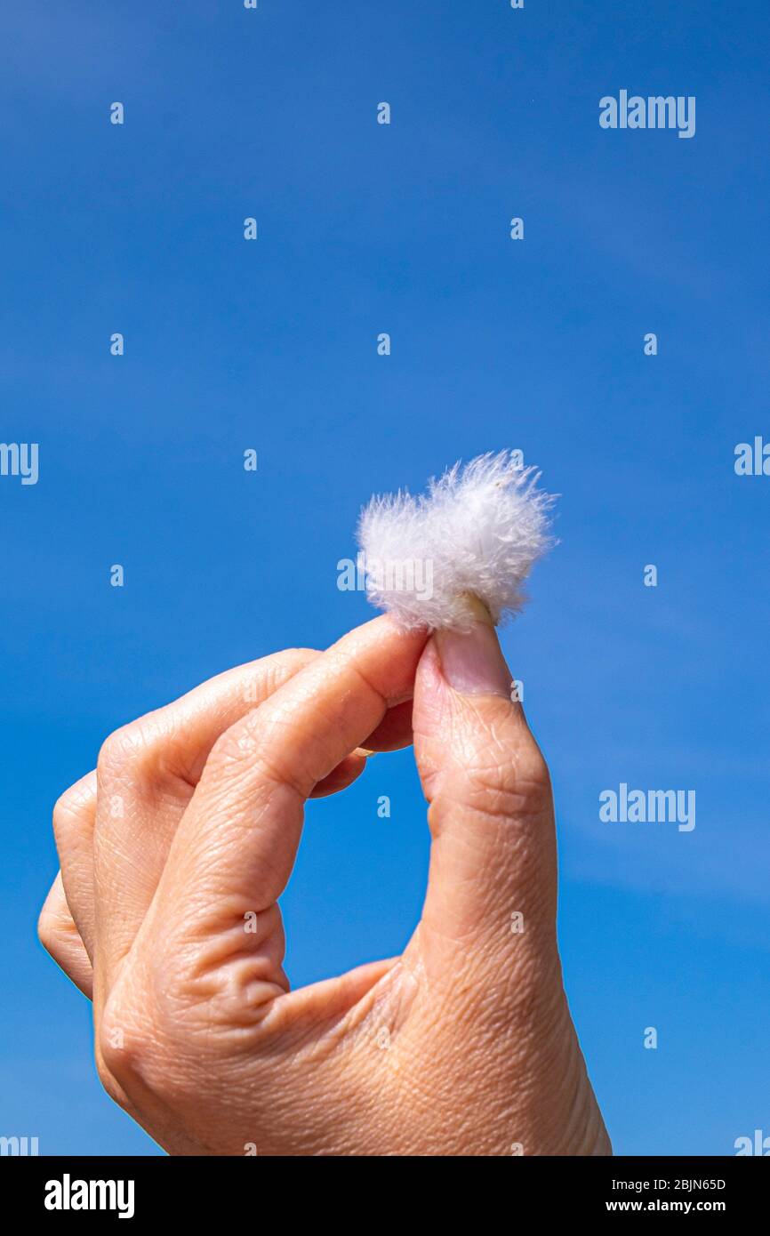 Letting Go Of Hand High Resolution Stock Photography and Images - Alamy