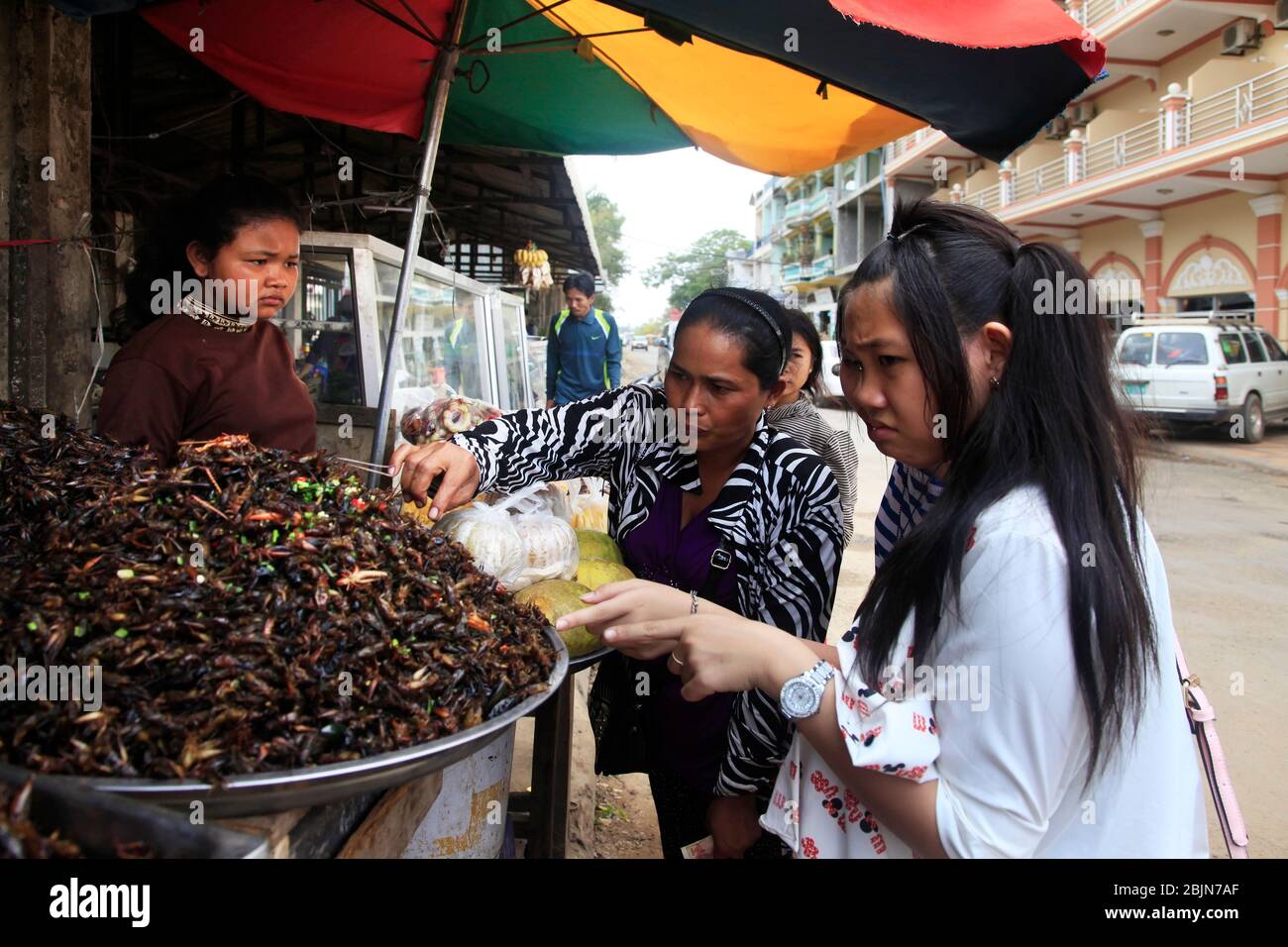 Fried cockroach thailand hi-res stock photography and images - Alamy