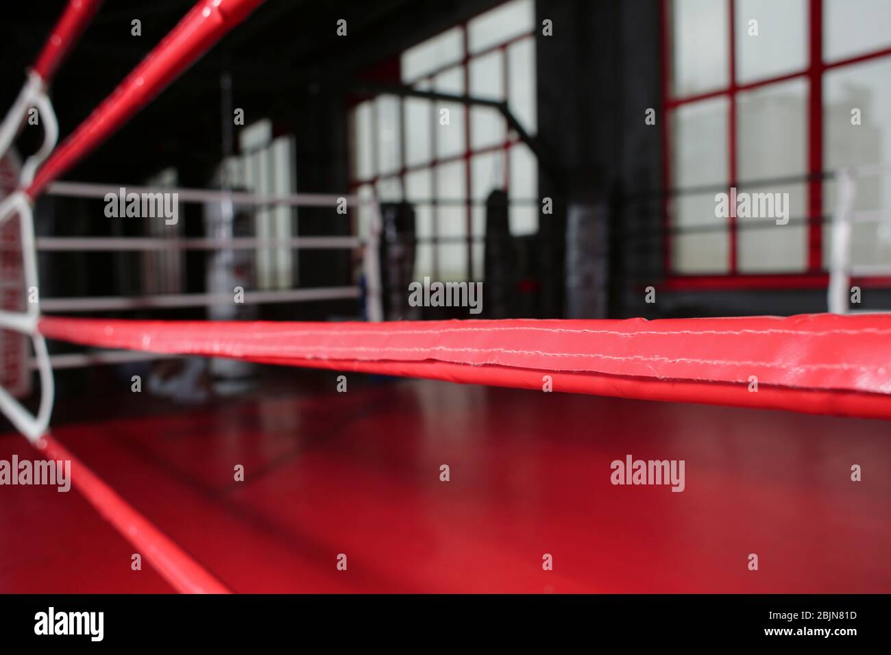 Ropes of boxing ring in gym, closeup Stock Photo - Alamy