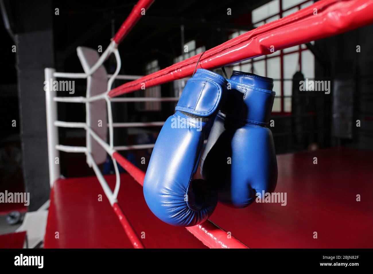 Boxing gloves and ropes hi-res stock photography and images - Alamy