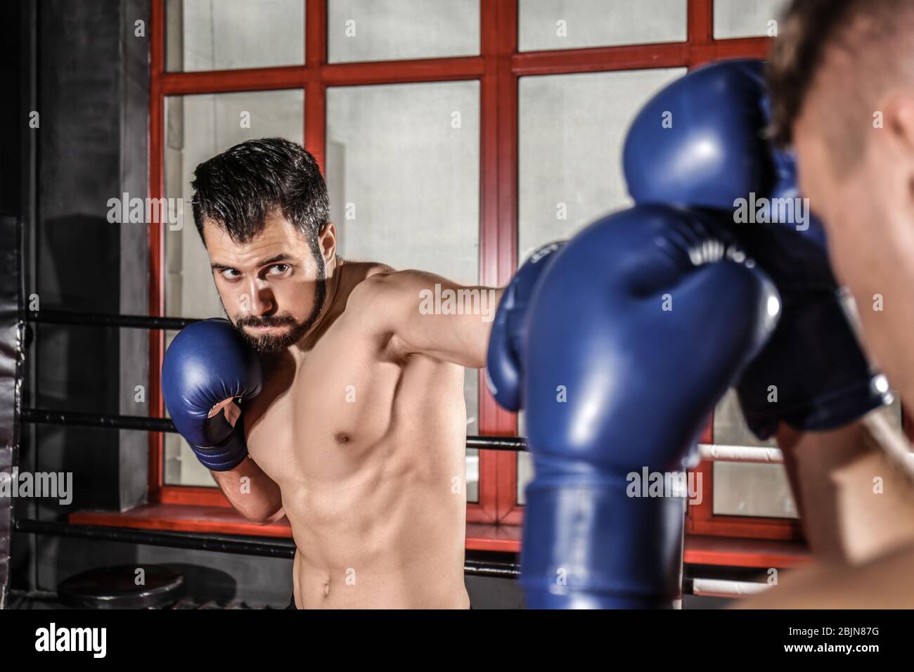 Professional boxers hi-res stock photography and images - Alamy