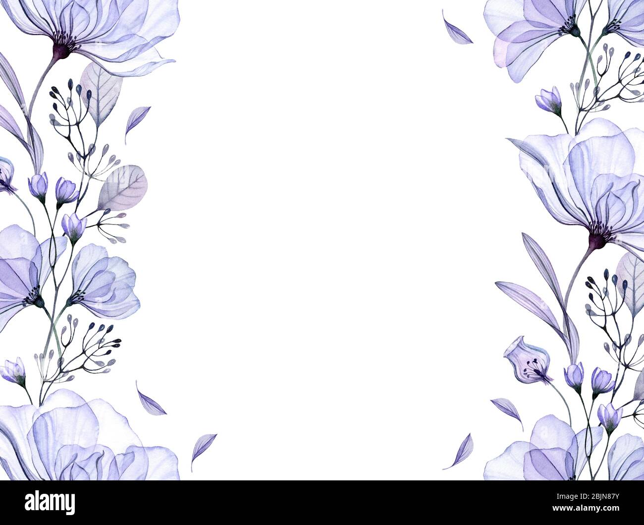 Watercolor floral banner. Horizontal abstract background with place for ...