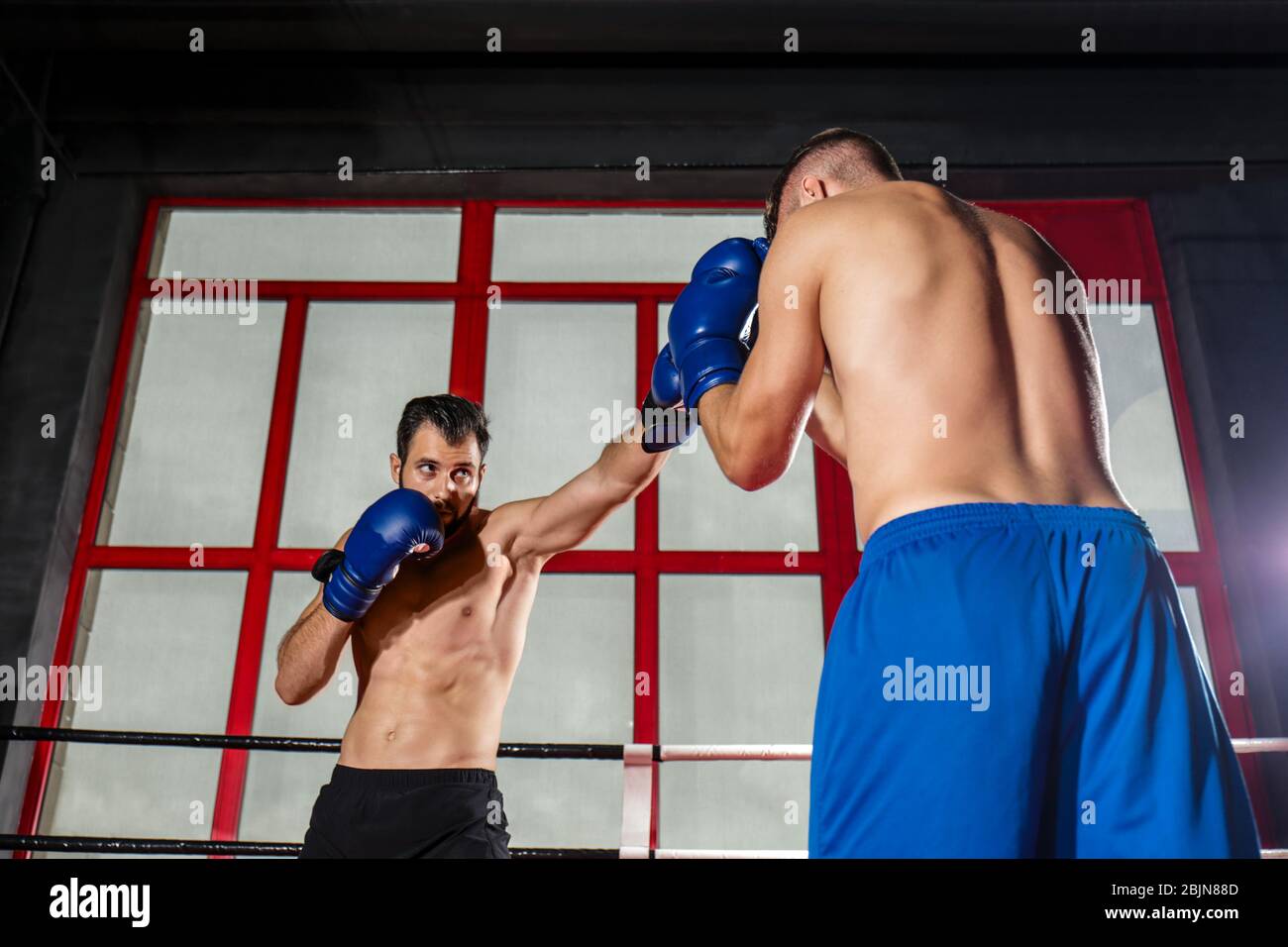 Young professional boxers training in ring Stock Photo - Alamy