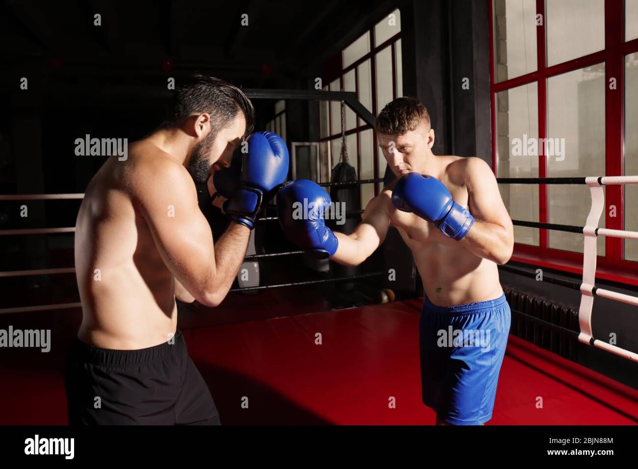 Young professional boxers training in ring Stock Photo - Alamy