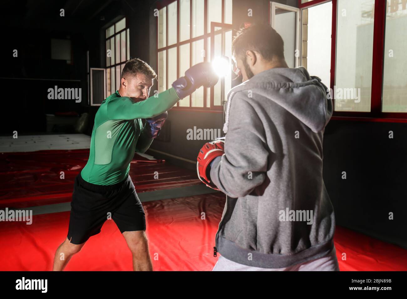Young professional boxers training in gym Stock Photo - Alamy