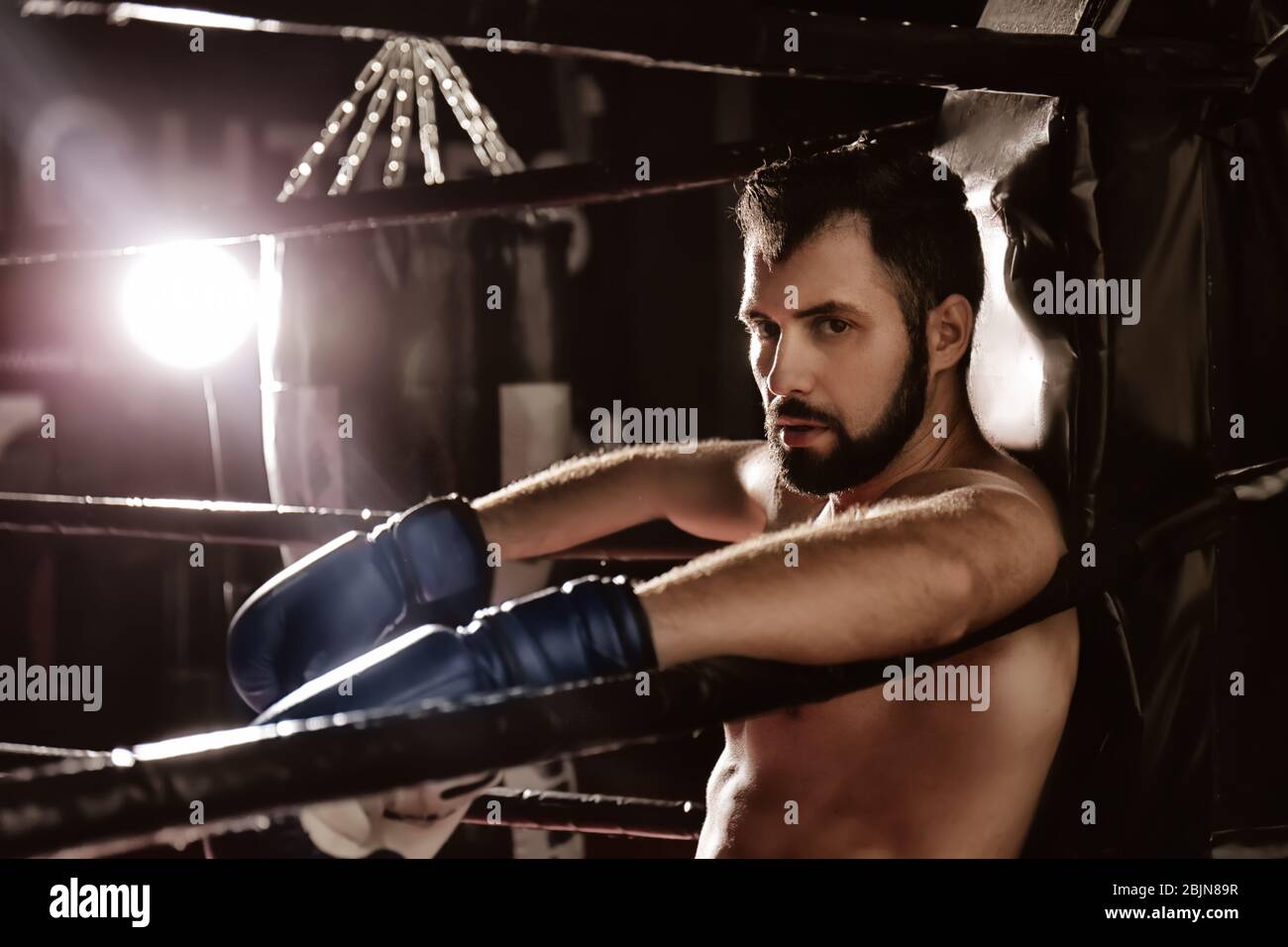 Professional boxer having break during training Stock Photo - Alamy