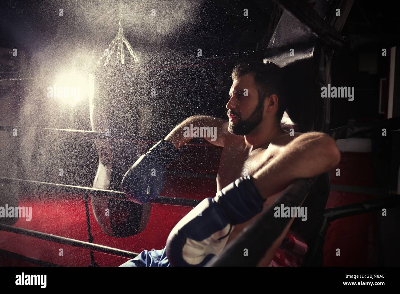 Professional boxer having break during training Stock Photo - Alamy