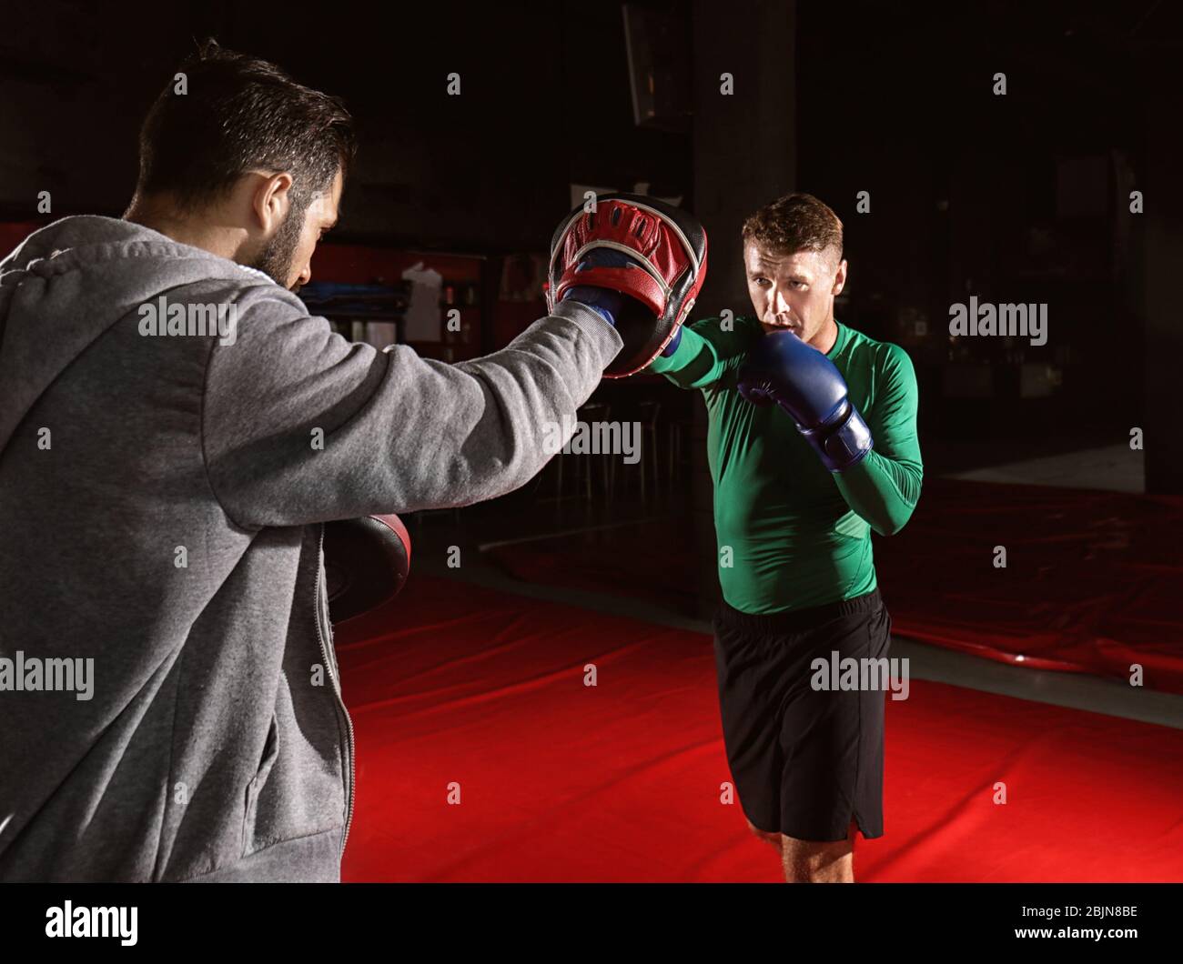 Young professional boxers training in gym Stock Photo - Alamy